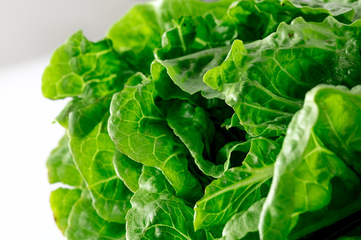 Taylor Family Produce – Granite Belt Vegetable Farmers