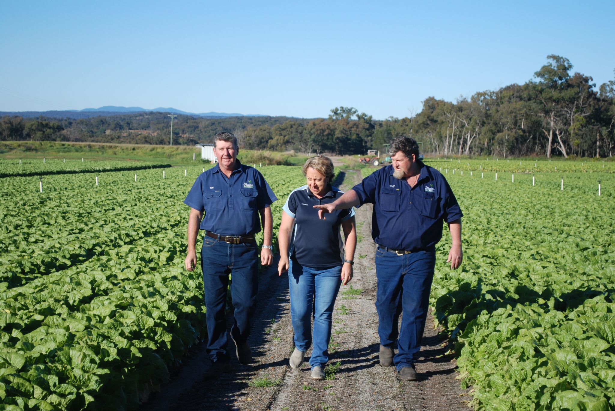 About Us – Taylor Family Produce